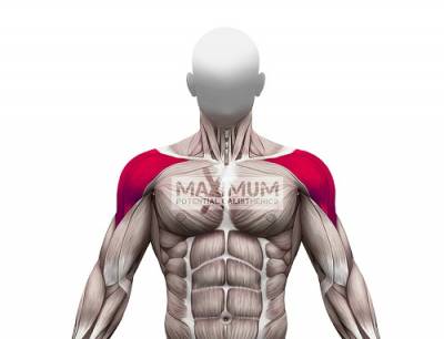 Pike Push-ups | Maximum Potential Calisthenics